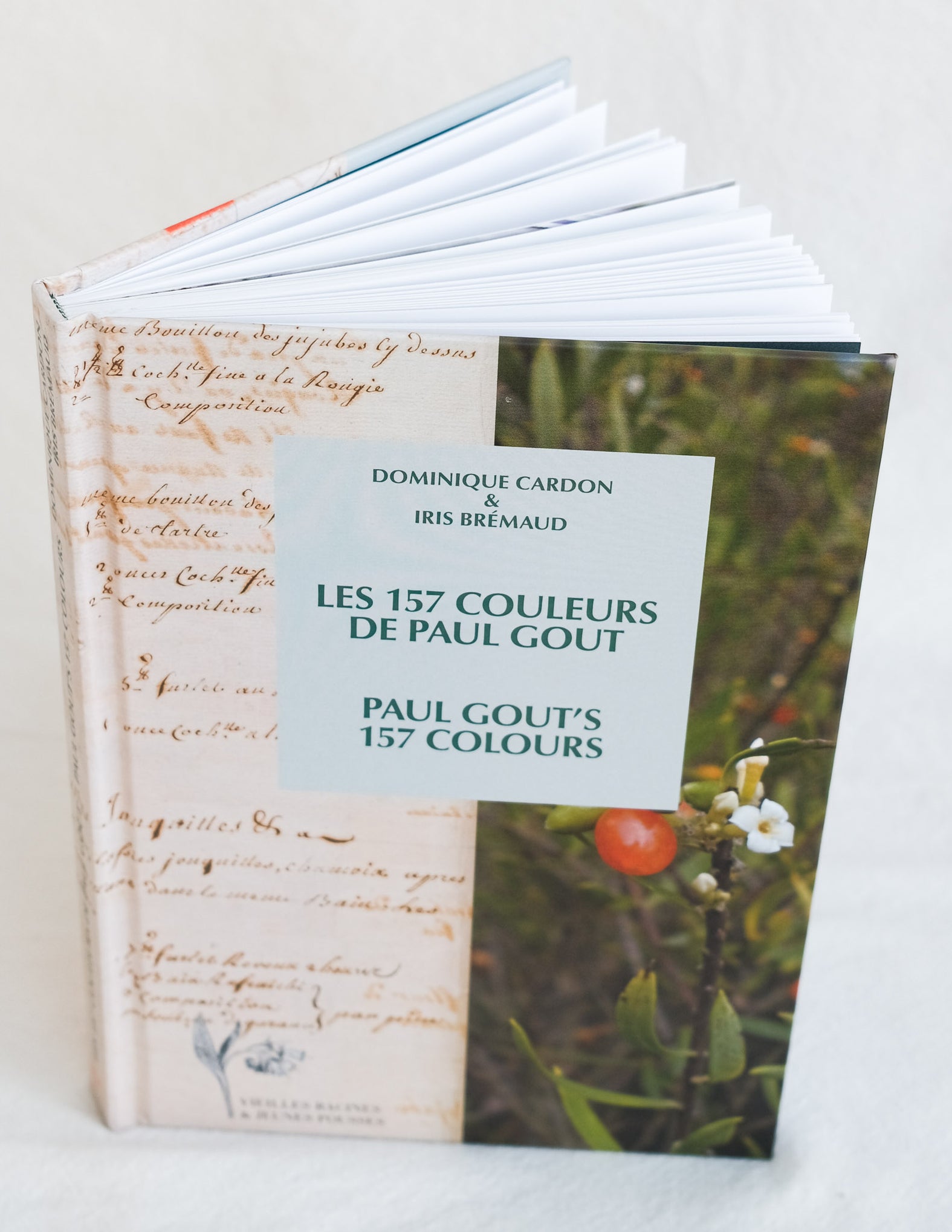 Paul Gout's 157 Colours (Les 157 Couleurs De Paul Gout) - Dominique Ca ...